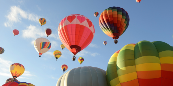 Top 10 Languages of New Mexico